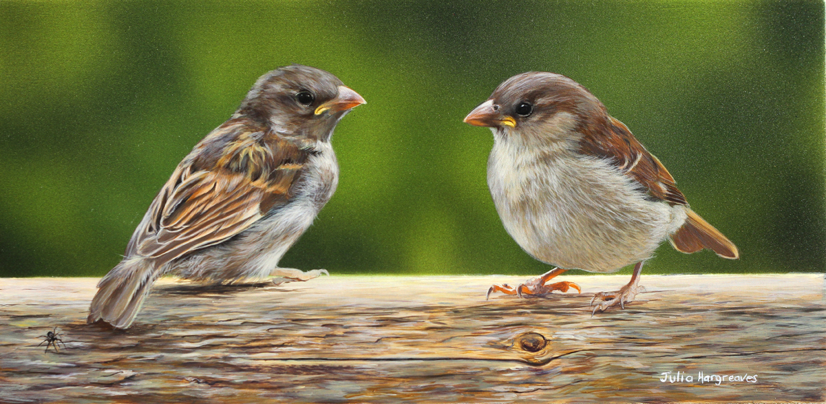 Baby Sparrows | Julia Hargreaves
